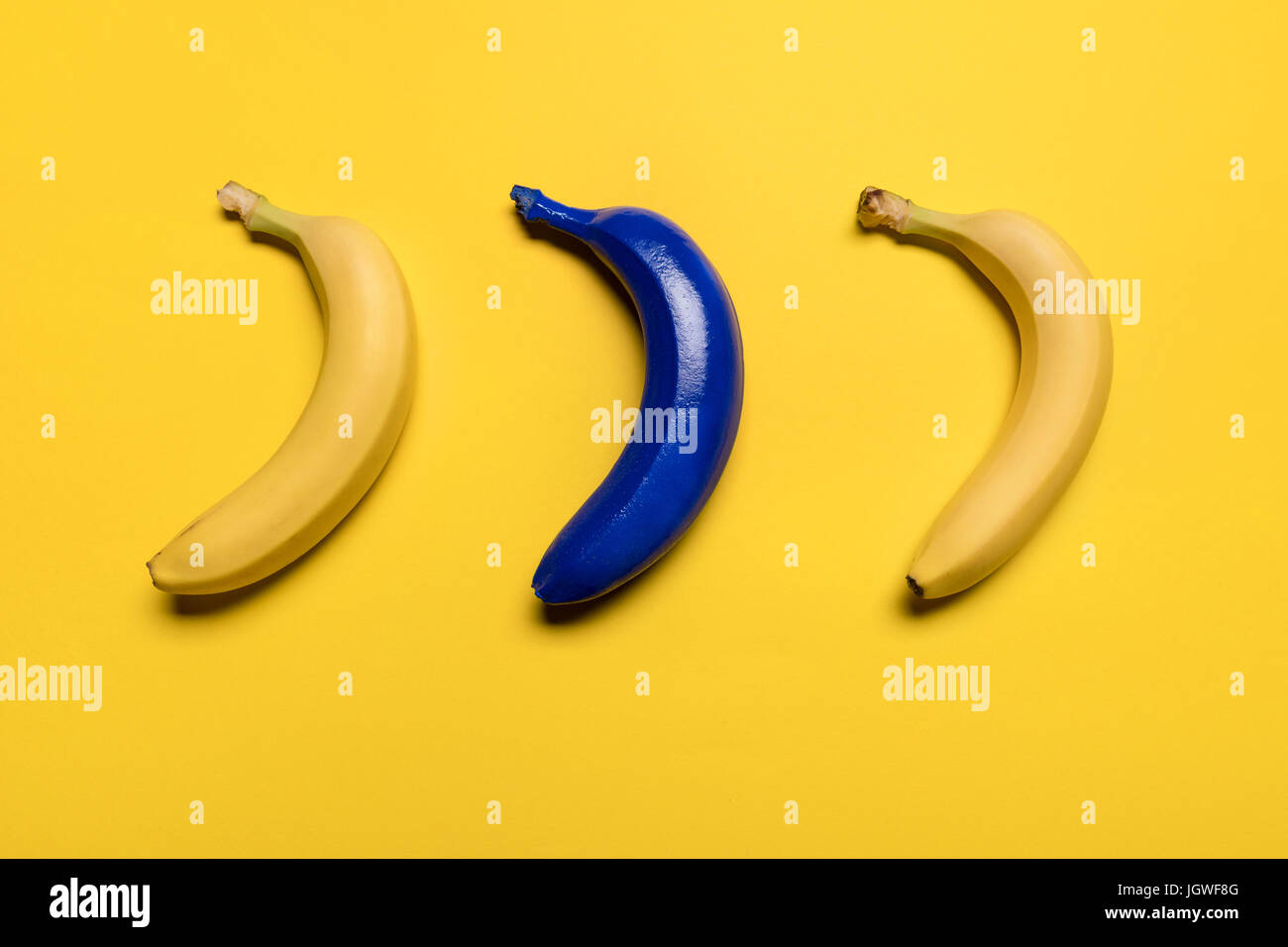 Top view of blue and yellow bananas isolated on yellow, ripe bananas ...