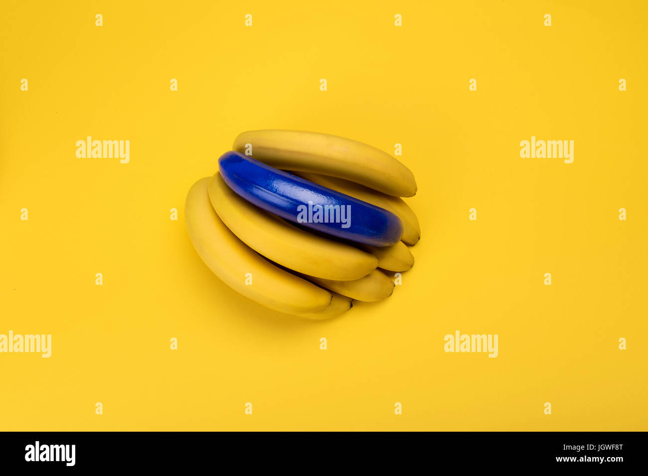 Top view of blue and yellow bananas isolated on yellow, bunch of ...