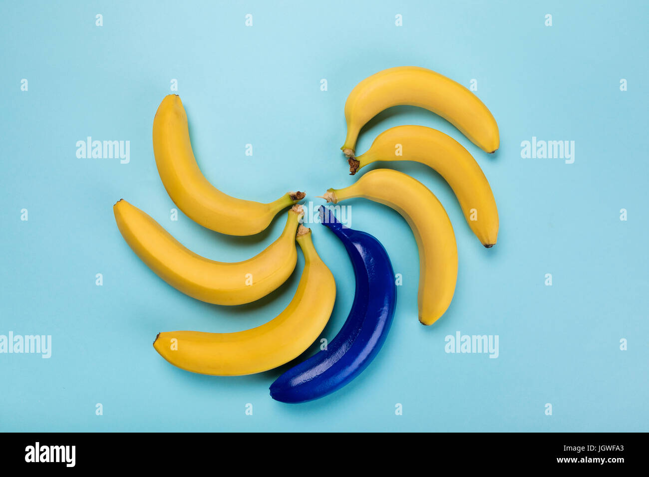Top view of yellow and blue bananas isolated on blue, ripe bananas ...