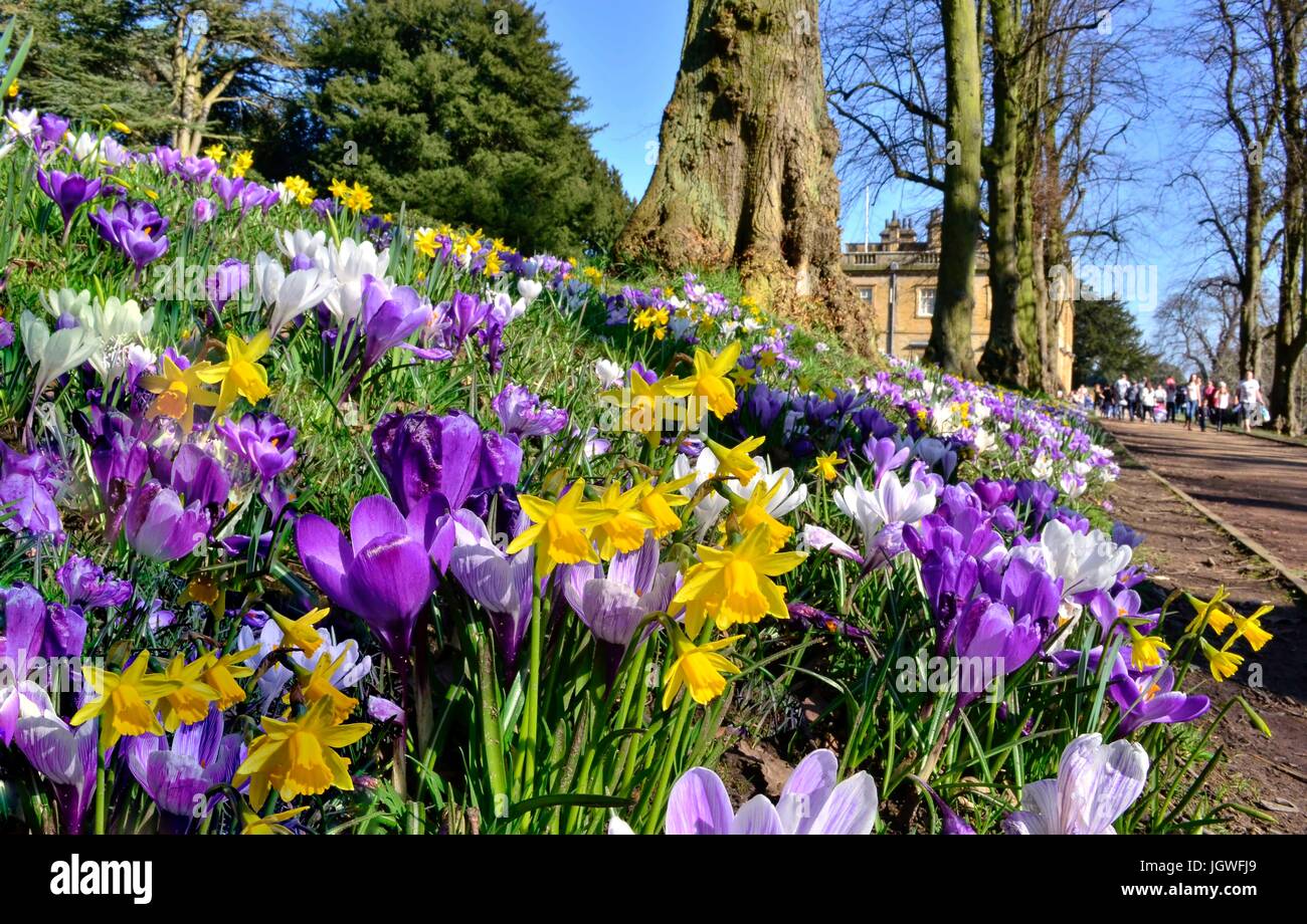 Canon hall hi-res stock photography and images - Alamy
