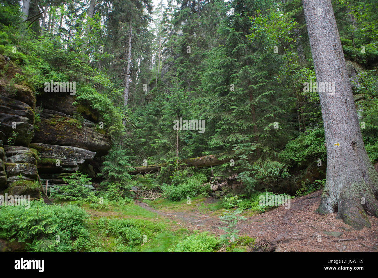 Adršpach-Teplice Rocks, Adršpach, Czechia Stock Photo - Alamy