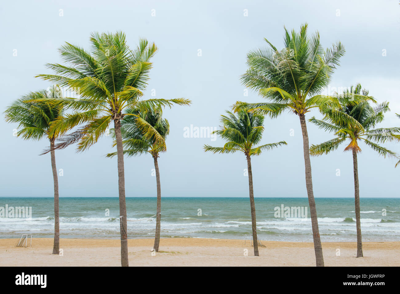 Sea coconut hi-res stock photography and images - Alamy