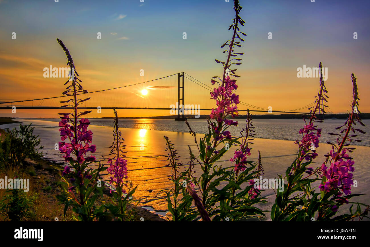 Visit the humber bridge hi-res stock photography and images - Alamy