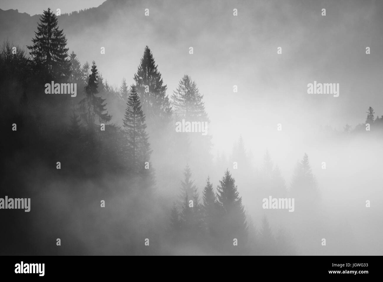 Beautiful misty sunset Black and White Stock Photos & Images - Alamy