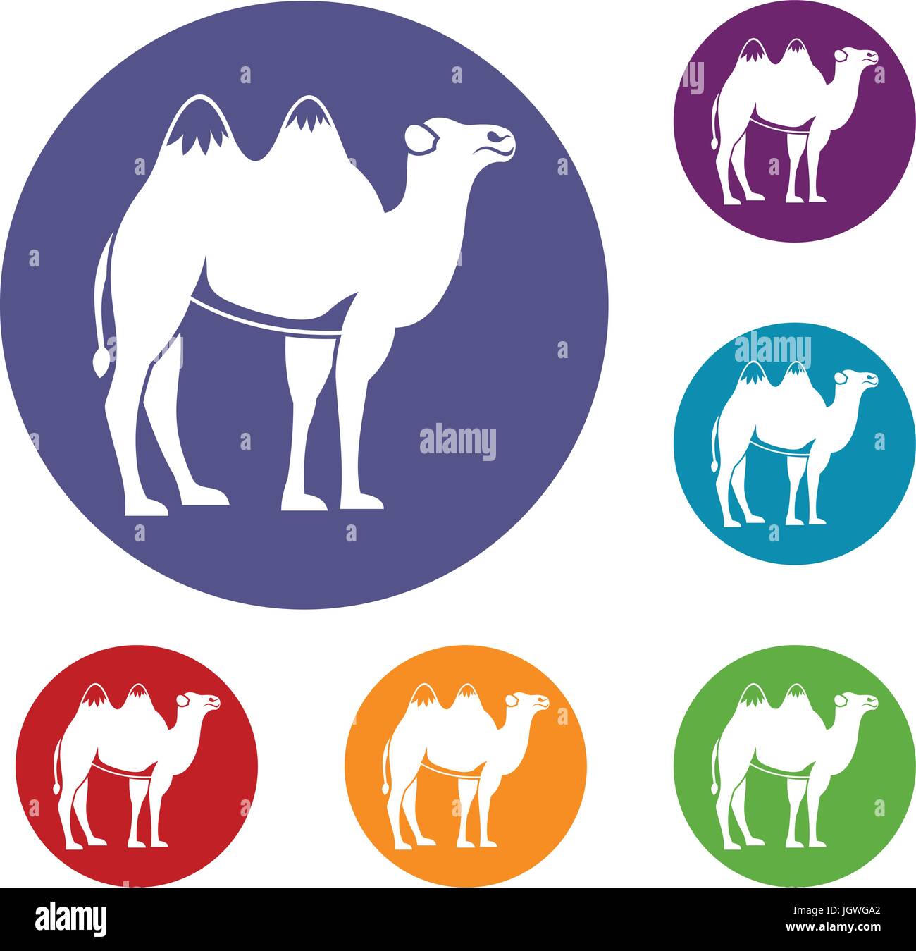 Camel icons set Stock Vector Image & Art - Alamy