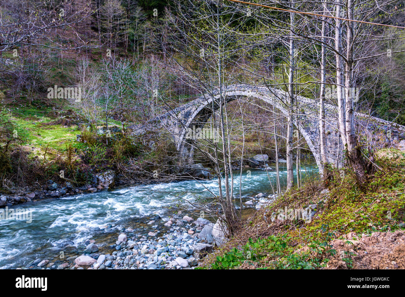 Stone bridge on the blacksea Stock Photo - Alamy