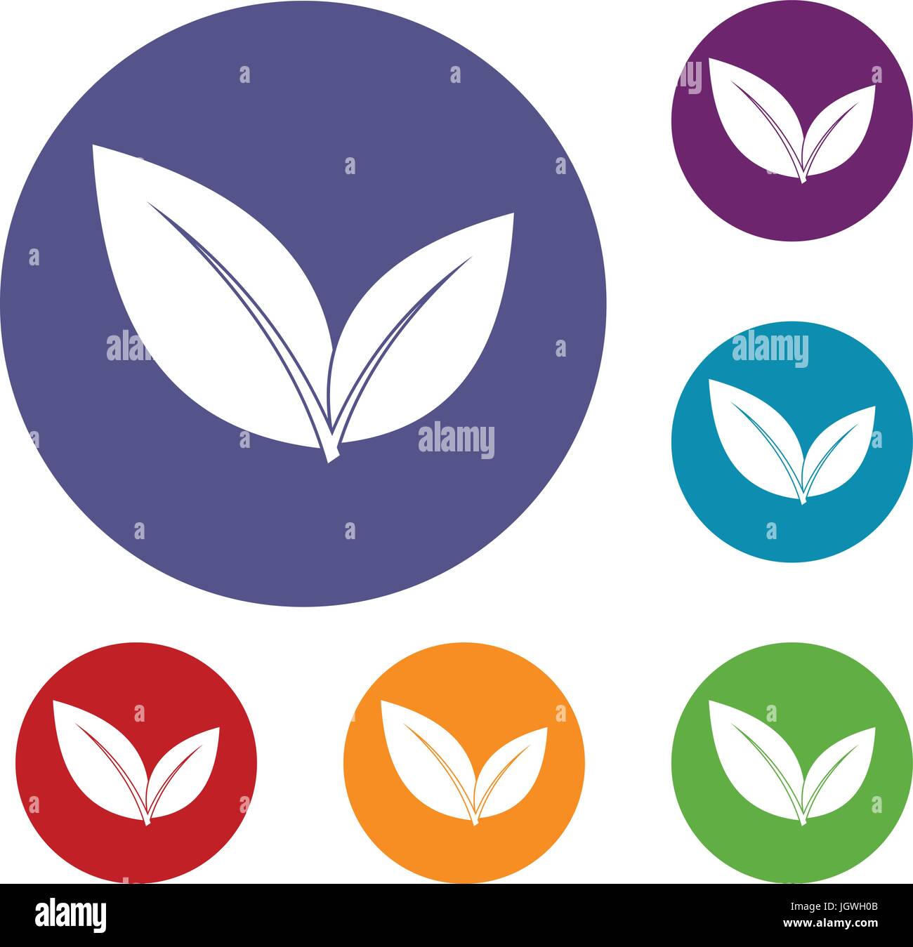 Leaf icons set Stock Vector Image & Art - Alamy