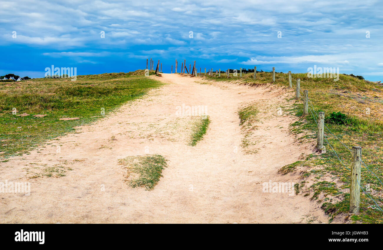 Path to sand beach with beachgrass. Way to the wide sandy beaches of ...