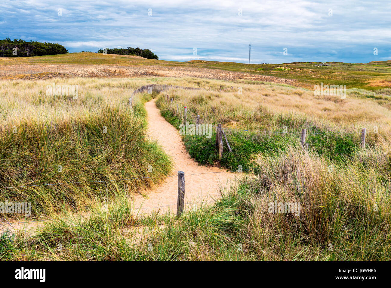 Path to sand beach with beachgrass. Way to the wide sandy beaches of ...