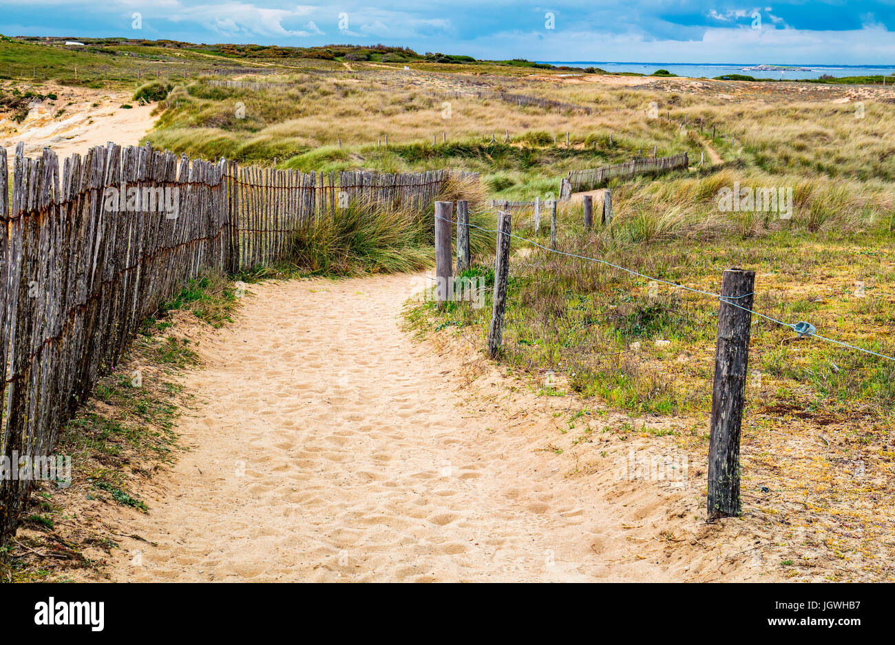 Path to sand beach with beachgrass. Way to the wide sandy beaches of ...