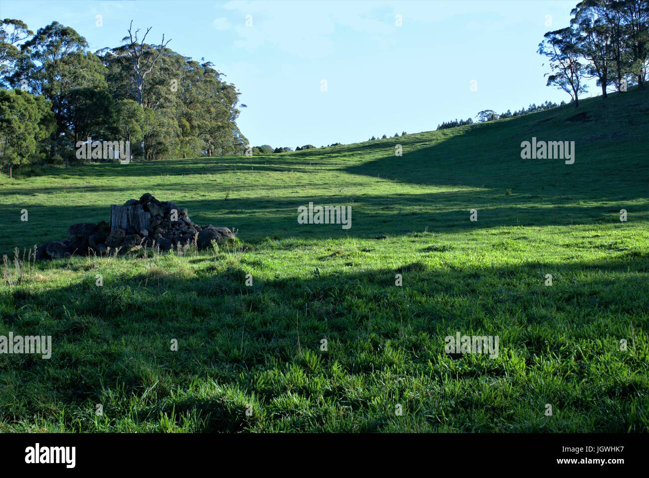 Beautiful scenery of countryside meadows, fenced grass landscape with ...