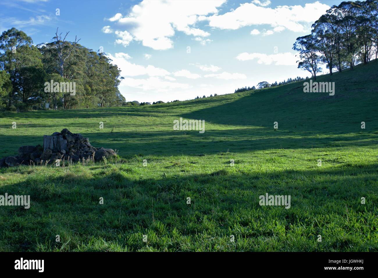Beautiful scenery of countryside meadows, fenced grass landscape with ...