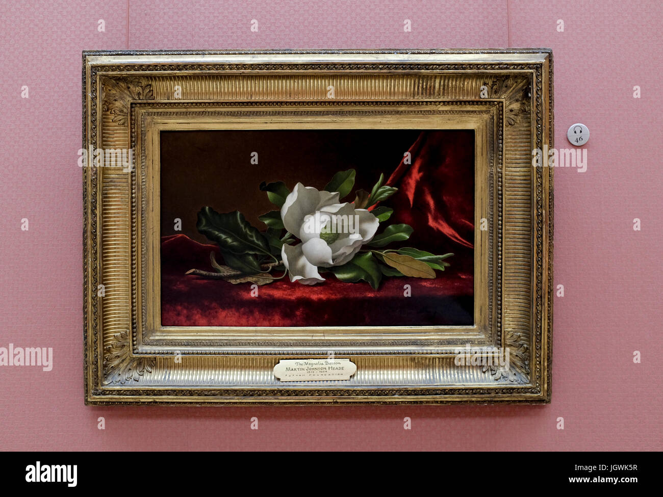 The Magnolia Blossom painting by Martin Johnson Heade, The San Diego ...