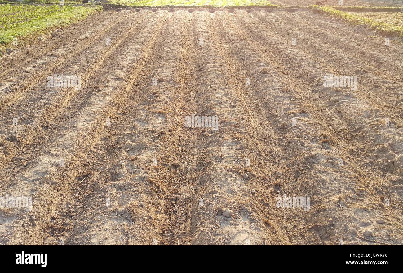 Furrows row hi-res stock photography and images - Alamy