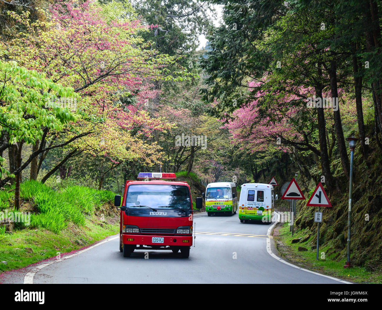 Chiayi, Taiwan - Mar 14, 2015. Vehicles on road at Alishan National ...