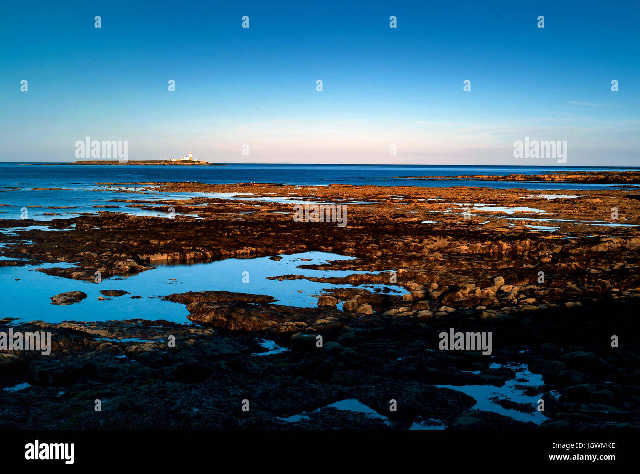 Coquet Island seen from Amble harbour in Northumberland Stock Photo - Alamy