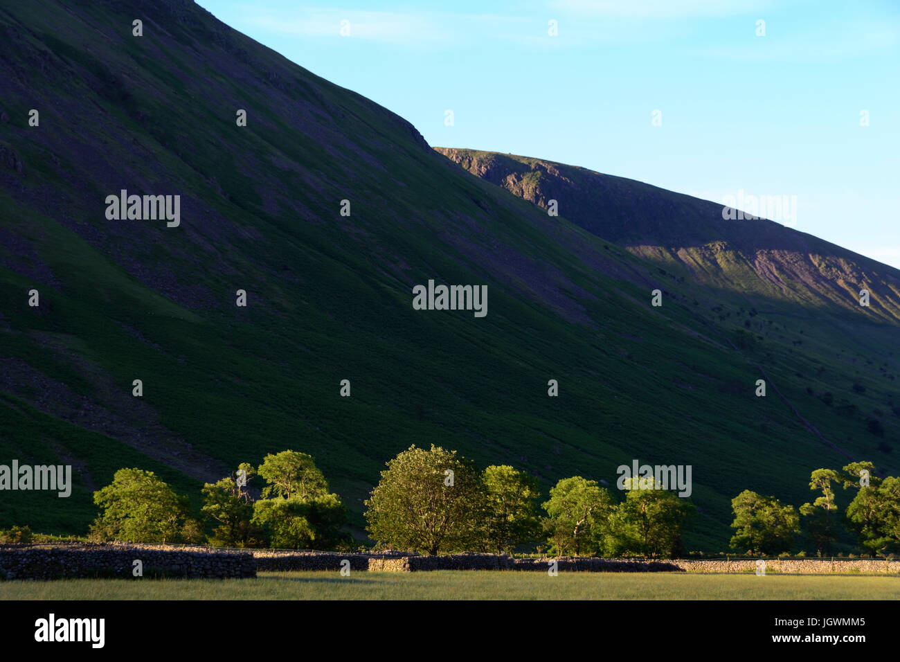 Sunrise on trees at Wasdale Head, Lake District, England, UK Stock ...