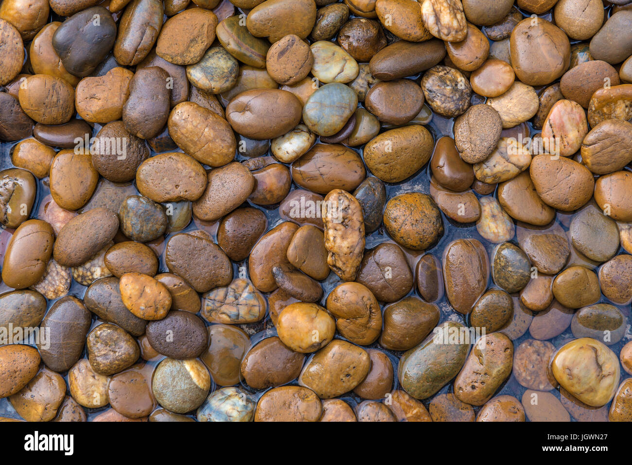 Wet stones dark pebbles with water drops in garden for background Stock ...