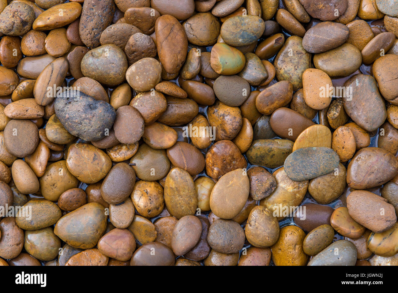 Wet stones dark pebbles with water drops in garden for background Stock ...
