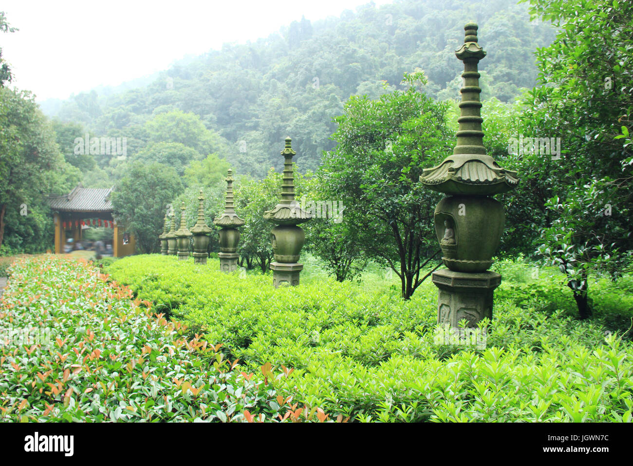 Shaoxing hi-res stock photography and images - Alamy