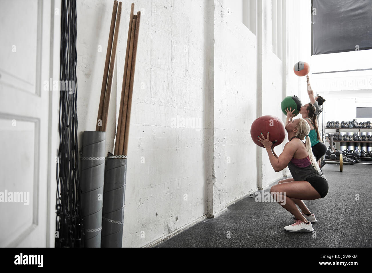 Ball throwing stick hi-res stock photography and images - Alamy