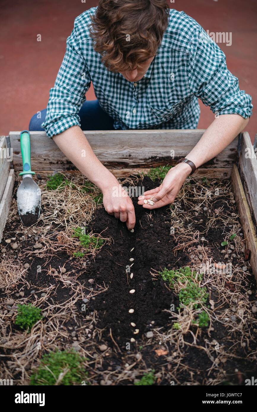 Man planting seeds in soil Stock Photo - Alamy