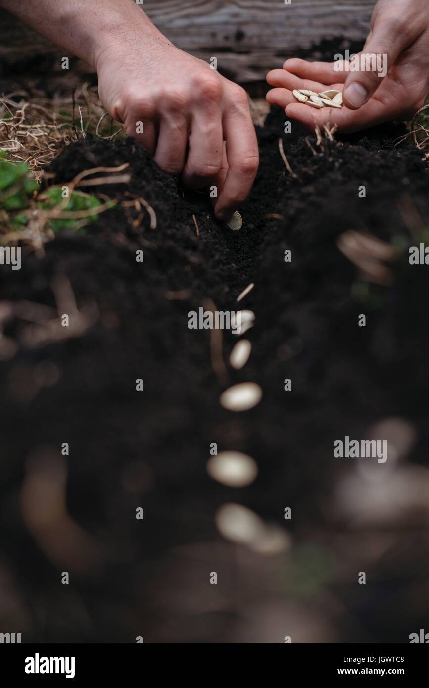 Planting the soil hi-res stock photography and images - Alamy