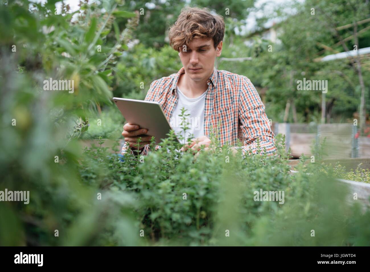 Identify man hi-res stock photography and images - Alamy