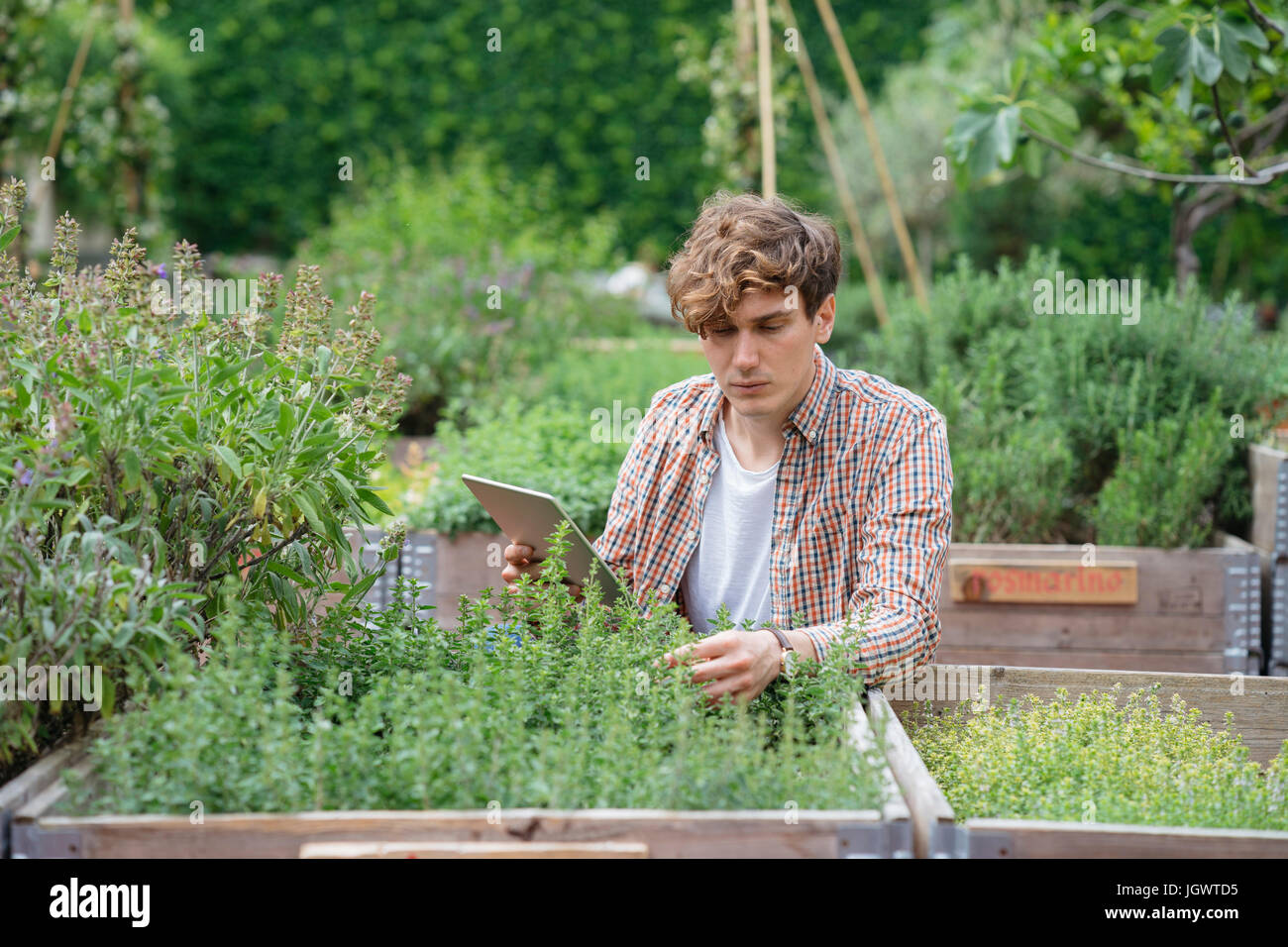 Identify man hi-res stock photography and images - Alamy