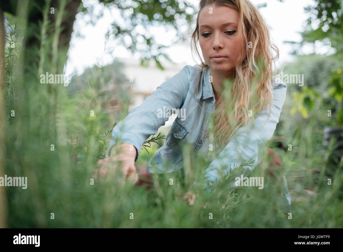 Young woman tending to plants in garden Stock Photo - Alamy