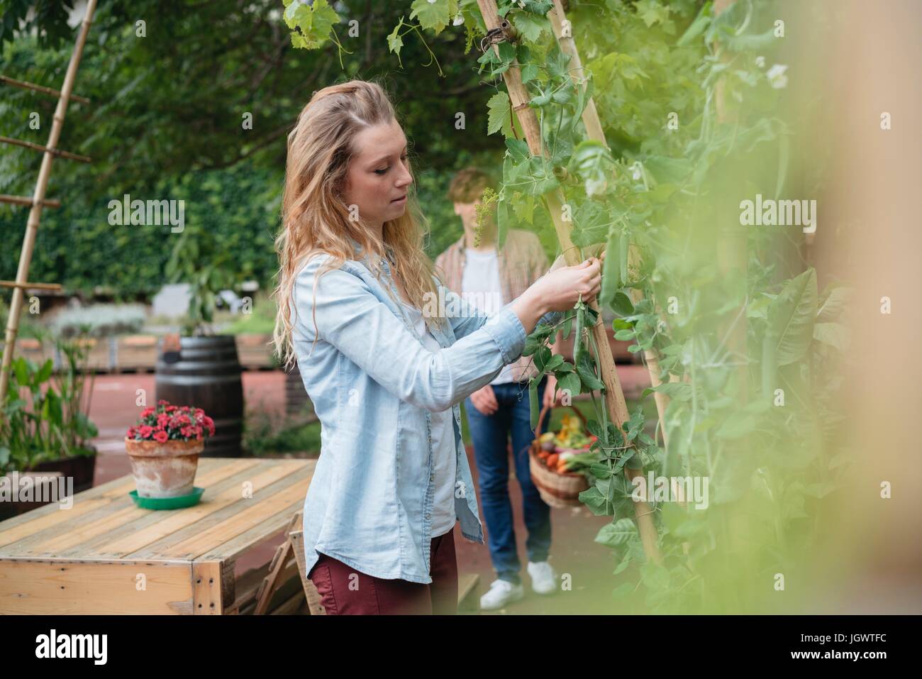 Woman around plants hi-res stock photography and images - Alamy
