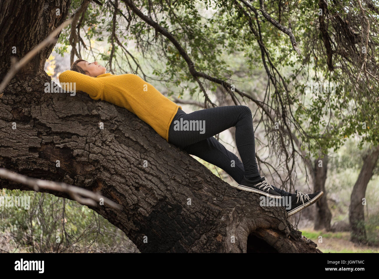 Lying on tree hi-res stock photography and images - Alamy