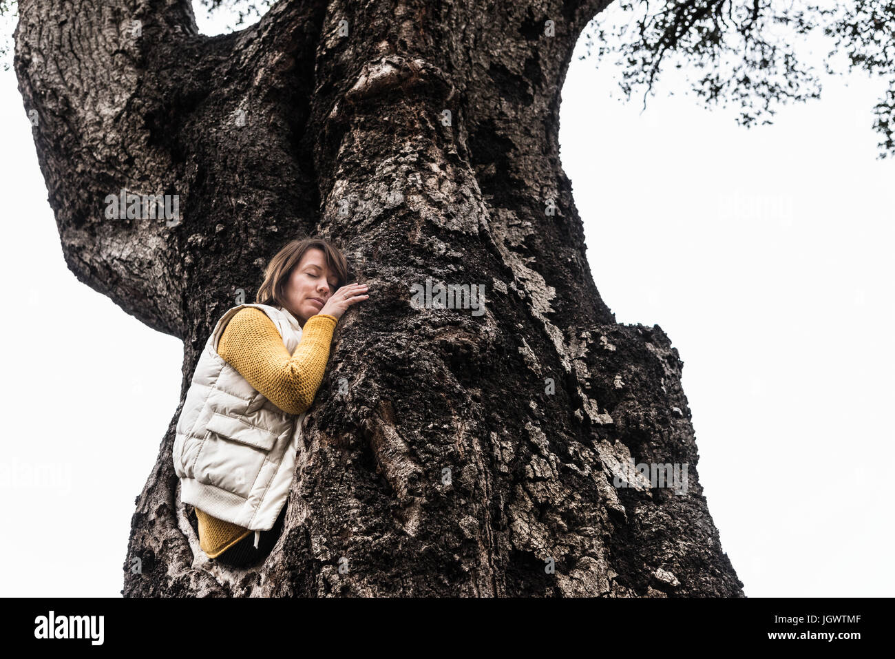 Woman sitting in tree, hugging tree Stock Photo - Alamy