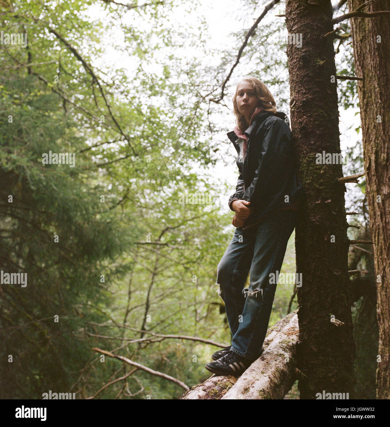 Portrait of boy, standing on log, leaning against tree Stock Photo - Alamy