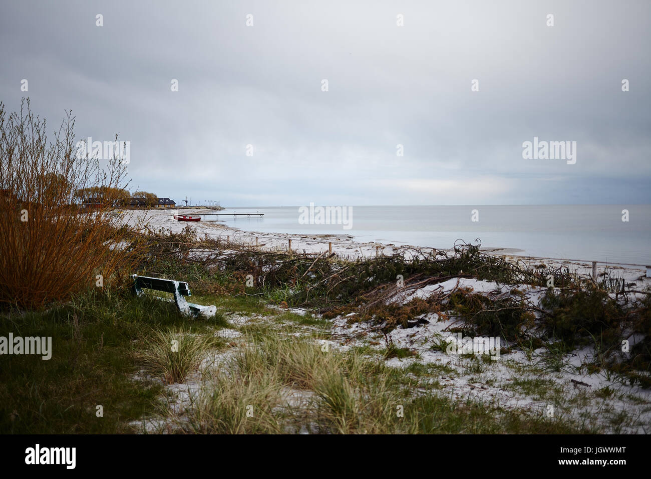 Baltic flora hi-res stock photography and images - Alamy