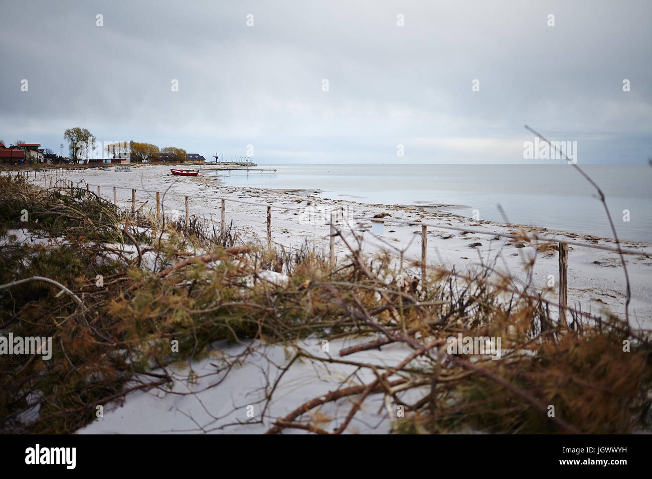 Baltic flora hi-res stock photography and images - Alamy