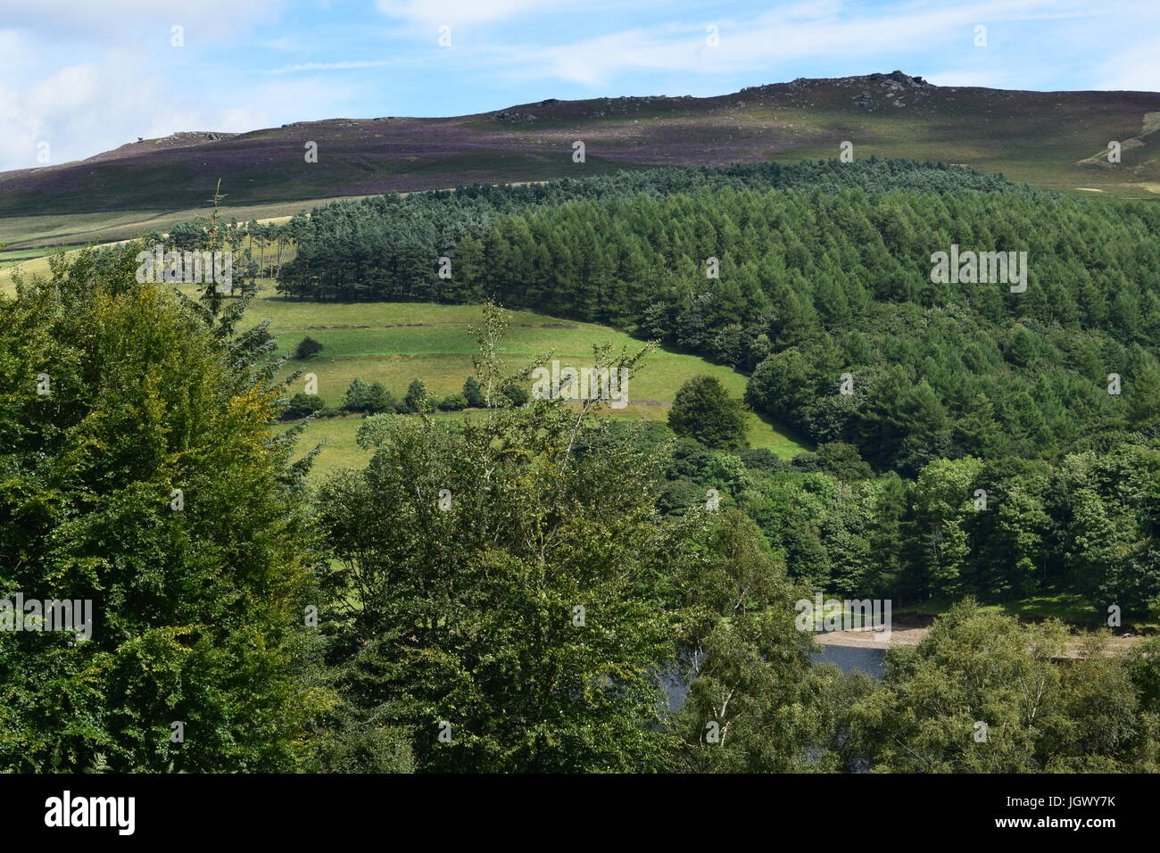 Ladybower wood hi-res stock photography and images - Alamy