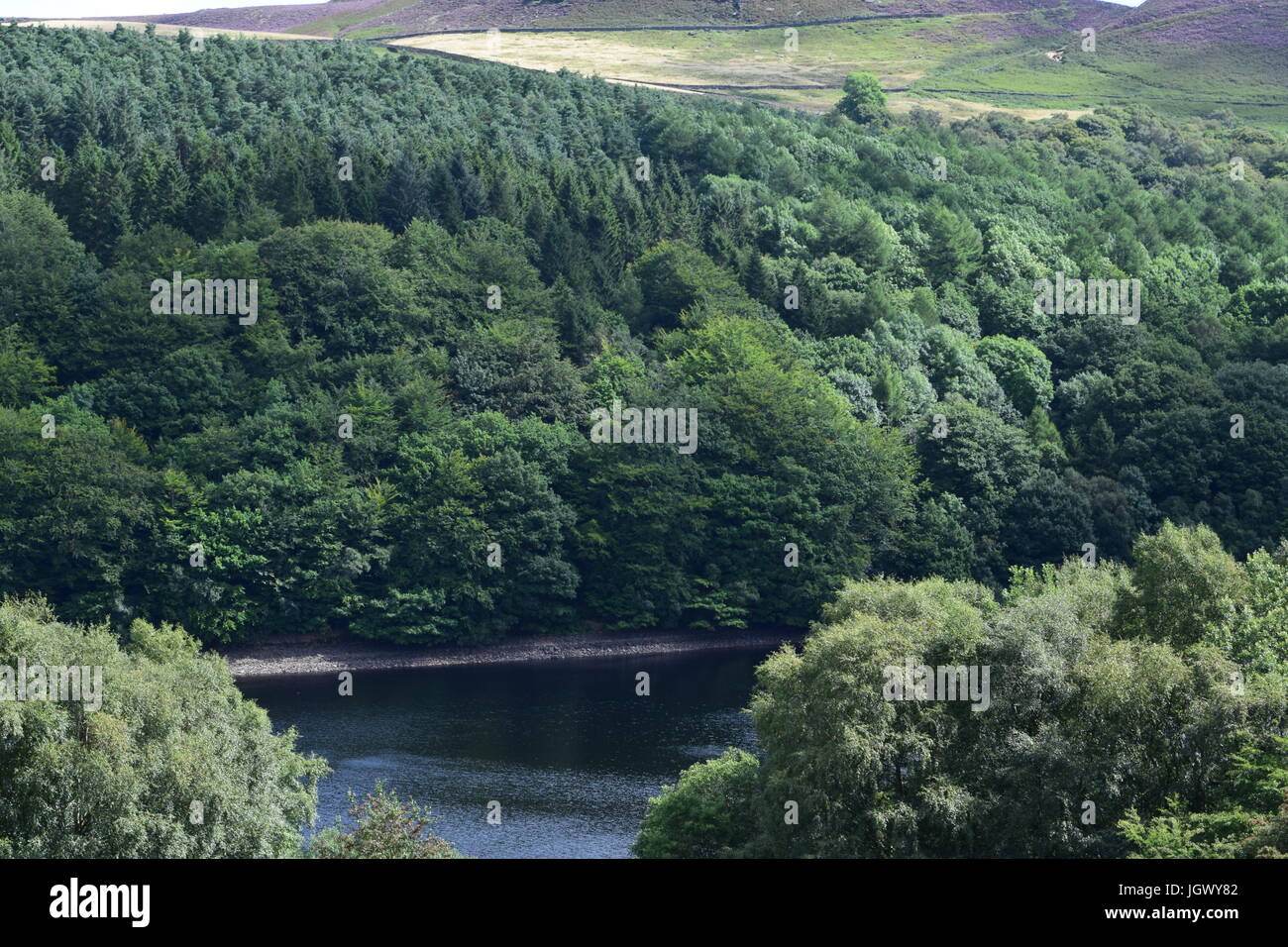 Ladybower wood peak district hi-res stock photography and images - Alamy