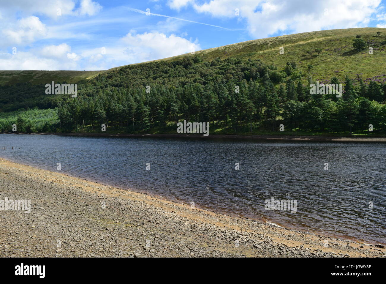 Ladybower, tree-lined bank Stock Photo - Alamy