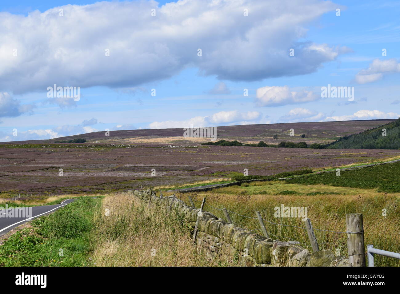 Strines moor hi-res stock photography and images - Alamy