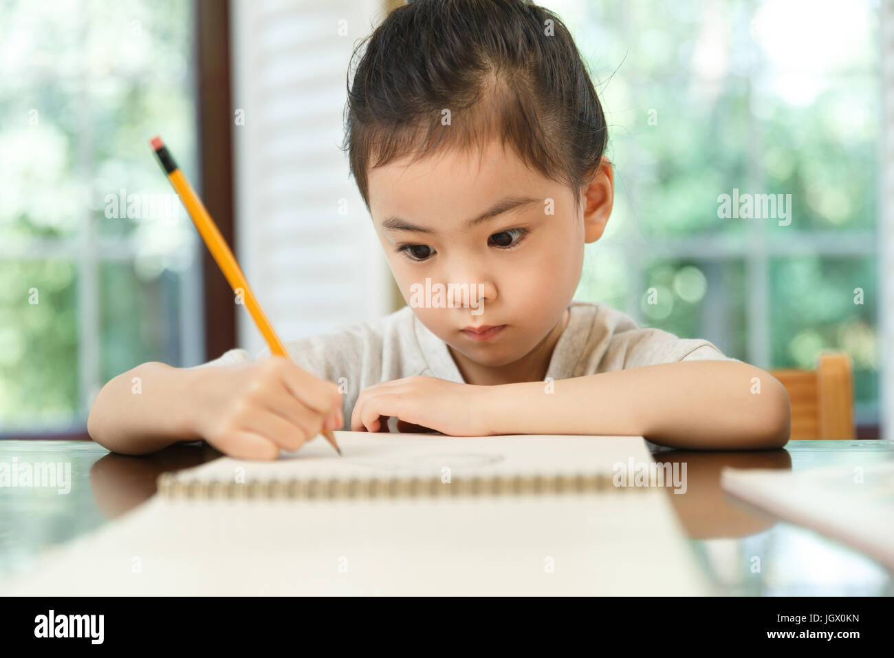 Little girl studying at home Stock Photo - Alamy