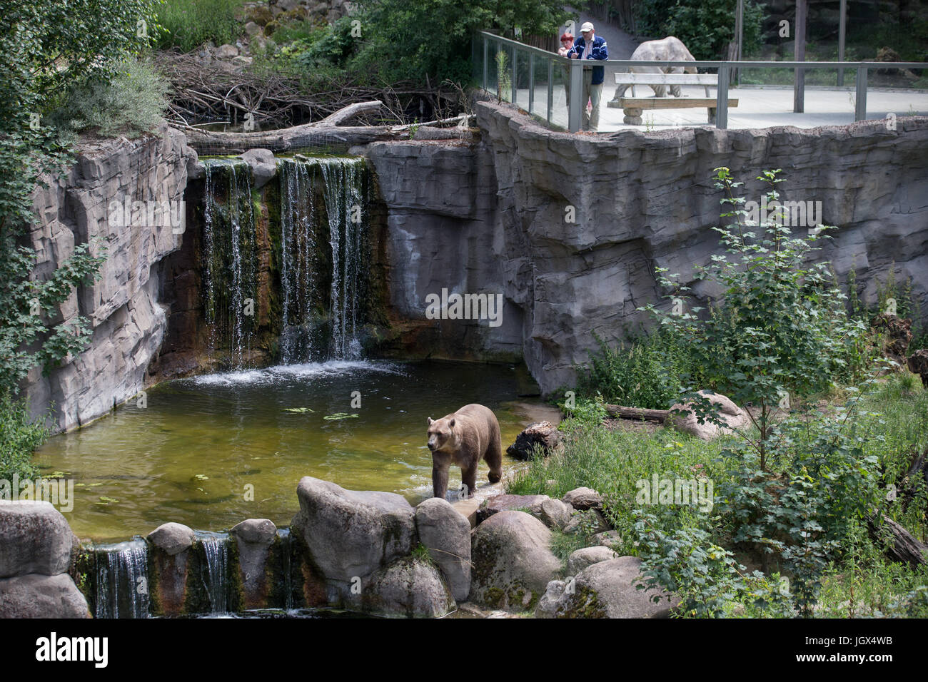 Grizzly bear enclosure hi-res stock photography and images - Alamy