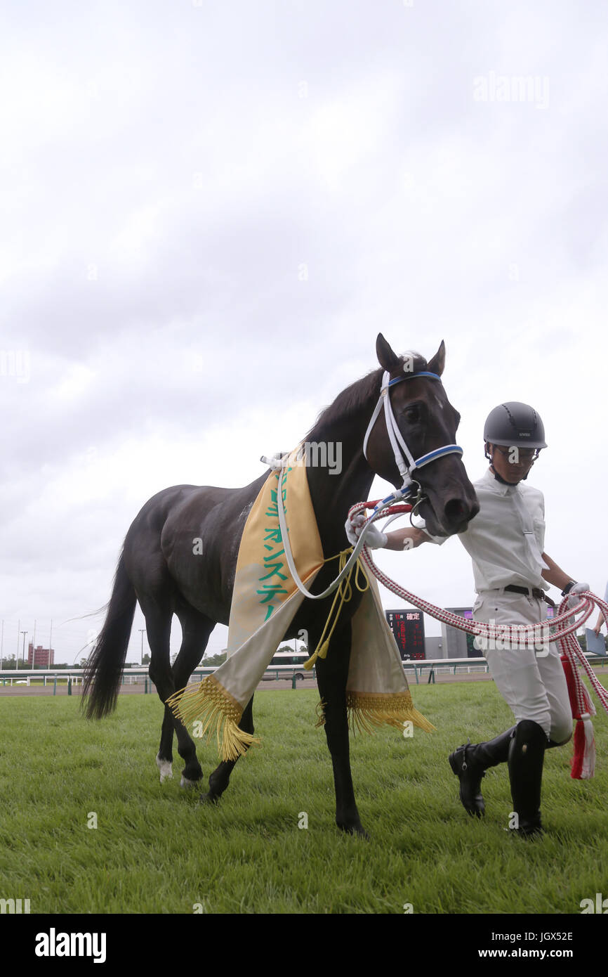 Kings guard horse hi-res stock photography and images - Alamy