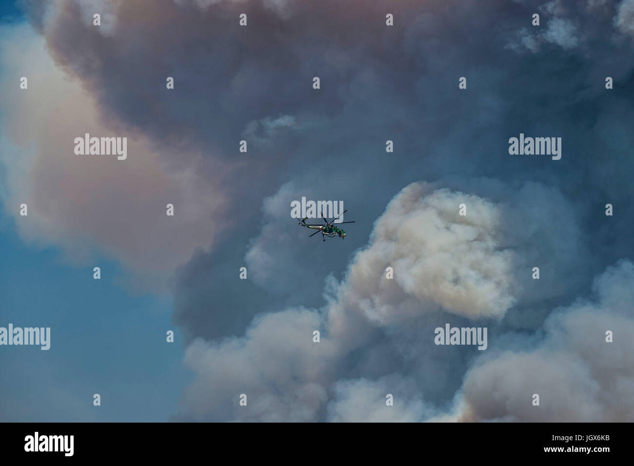 Torre del Greco-Naples, Italy. 11th Jul, 2017. Vesuvius Volcano forest ...