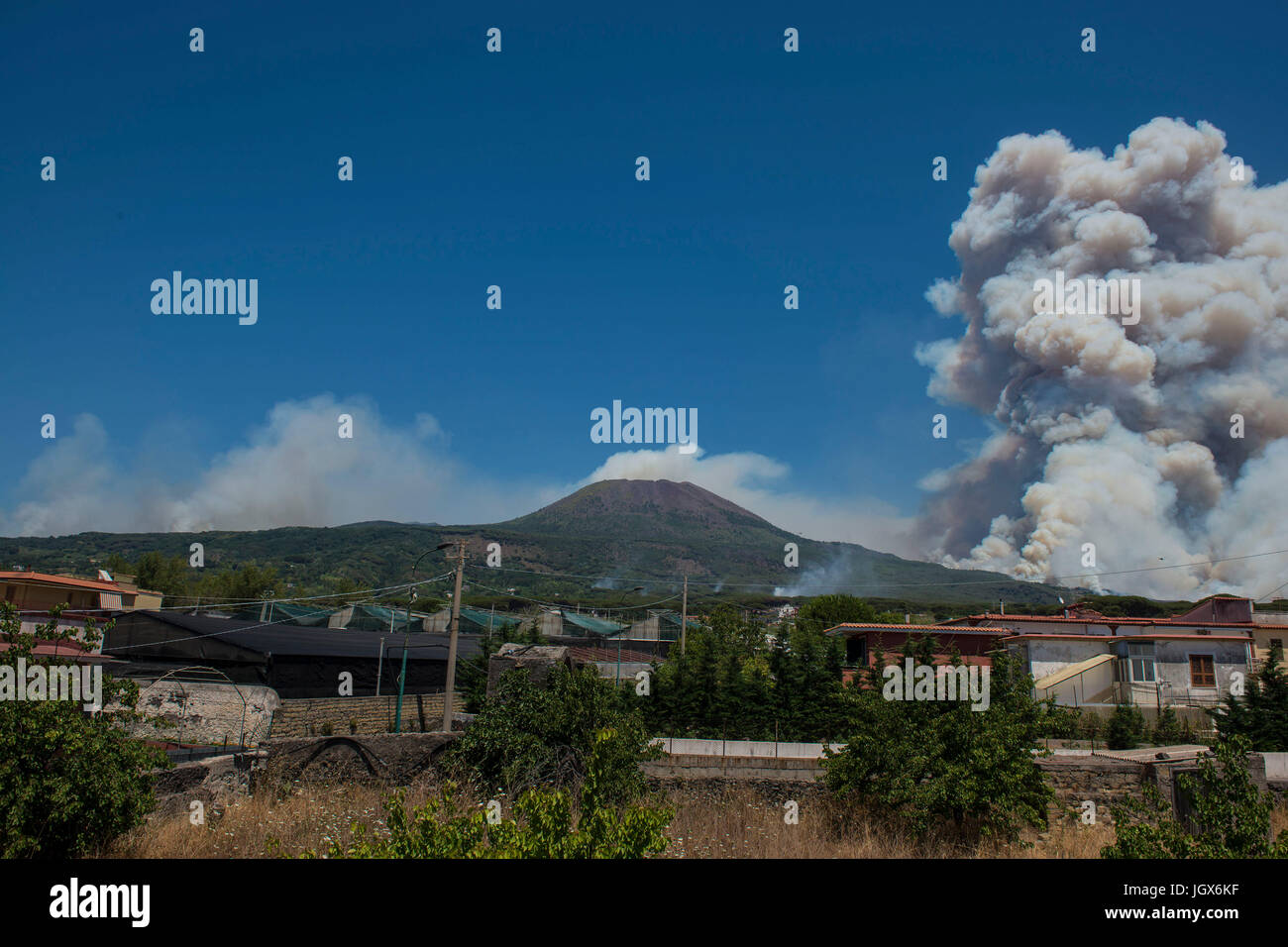 Torre del Greco-Naples, Italy. 11th Jul, 2017. Vesuvius Volcano forest ...