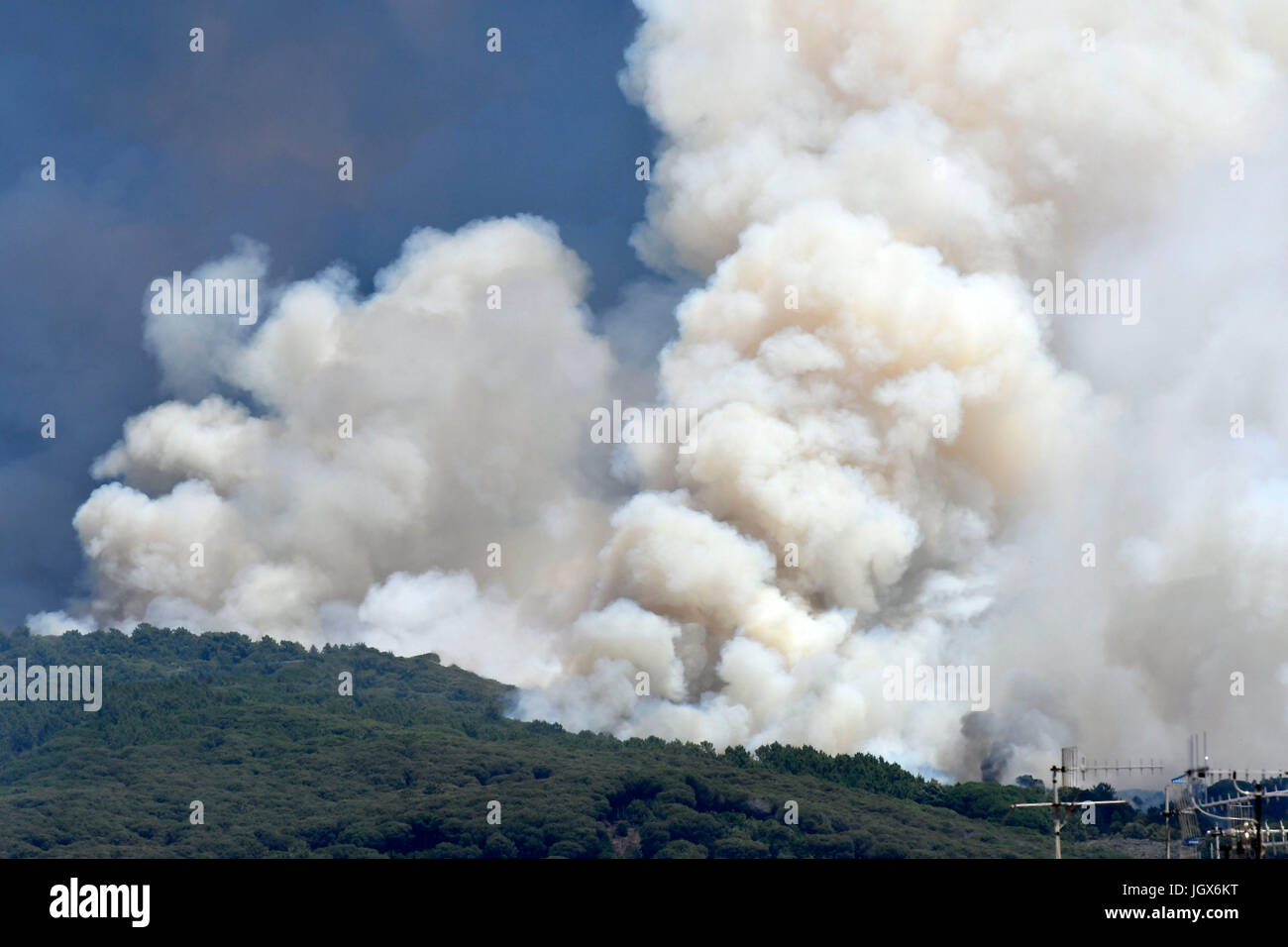 Torre del Greco-Naples, Italy. 11th Jul, 2017. Vesuvius Volcano forest ...