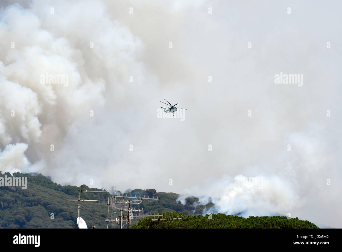 Torre del Greco-Naples, Italy. 11th Jul, 2017. Vesuvius Volcano forest ...