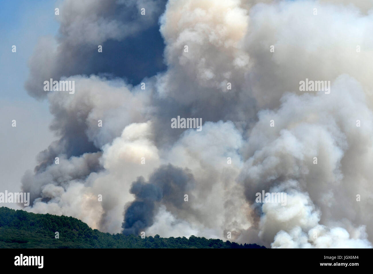 Torre del Greco-Naples, Italy. 11th Jul, 2017. Vesuvius Volcano forest ...