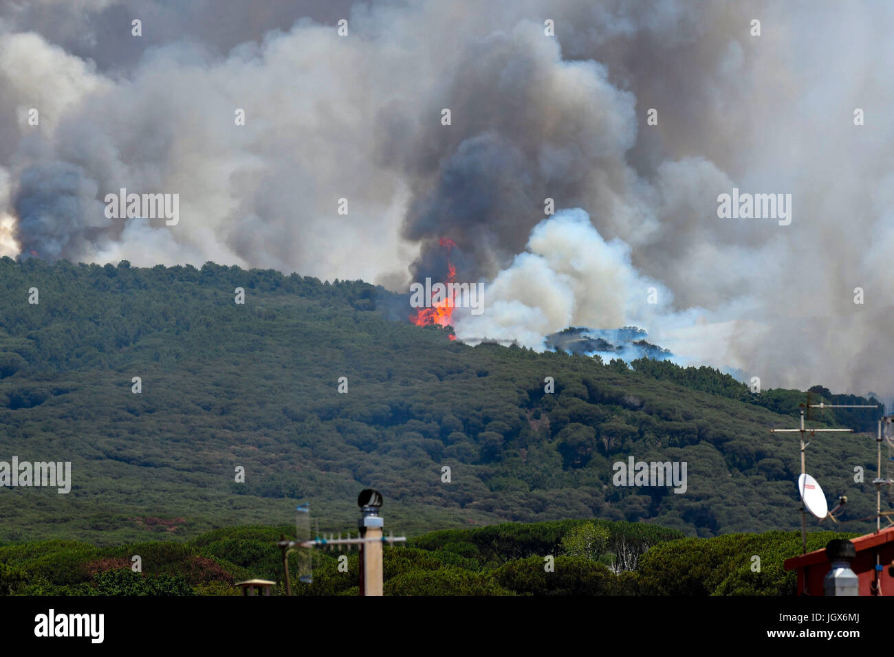 Torre del Greco-Naples, Italy. 11th Jul, 2017. Vesuvius Volcano forest ...