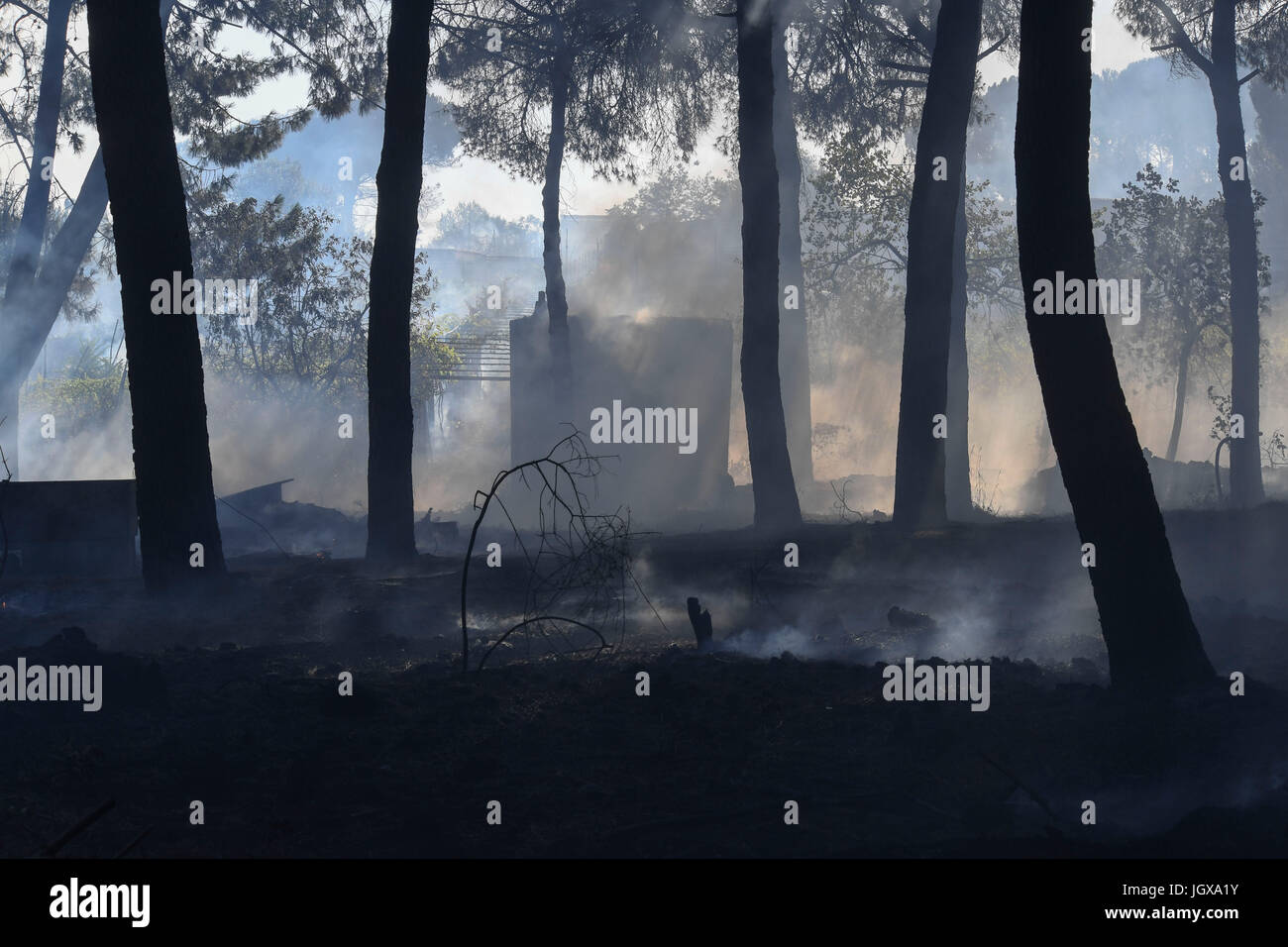 Vesuvius national park hi-res stock photography and images - Alamy